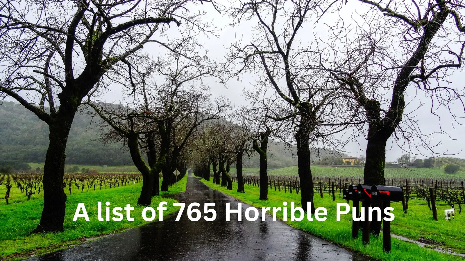 765+Horrible Puns You Can’t Unhear