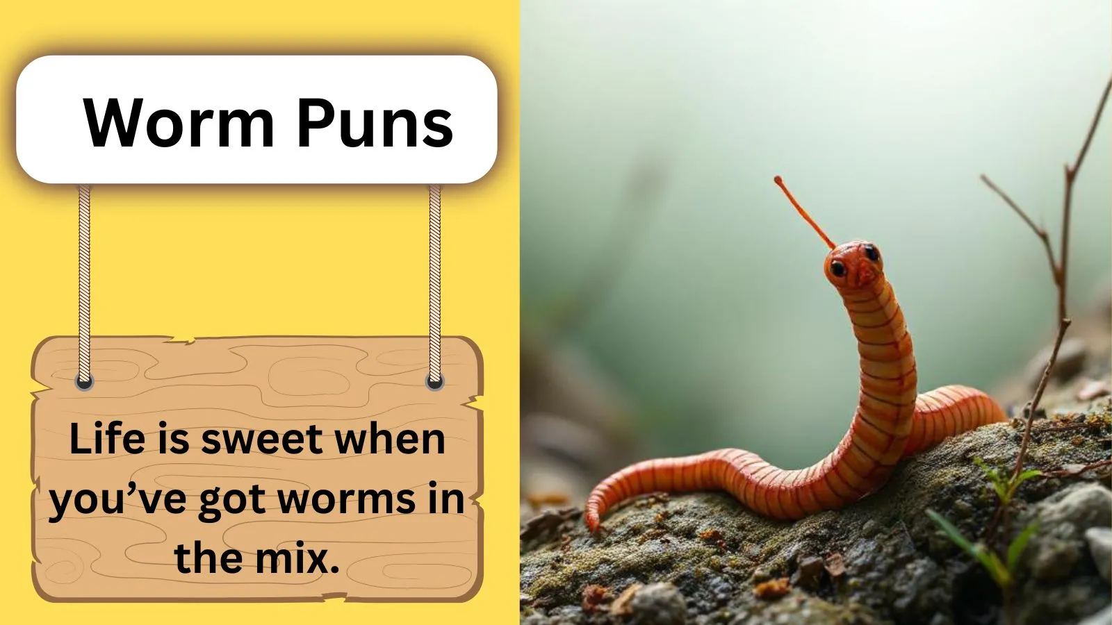 462+ Worm Puns Cute, Funny & Flirty For 2025
